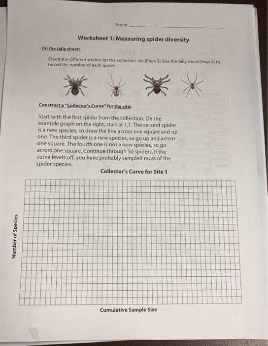 Solved Name Worksheet 1: Measuring spider diversity On the | Chegg.com