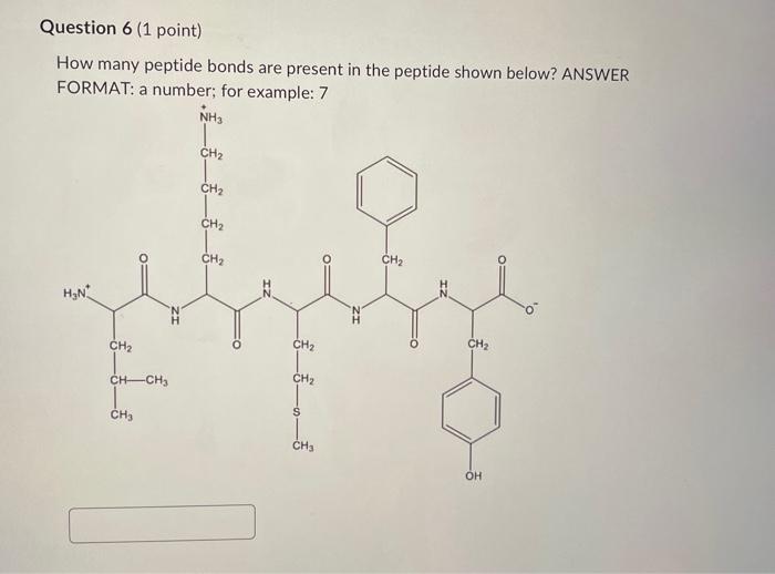 Solved How many peptide bonds are present in the peptide | Chegg.com
