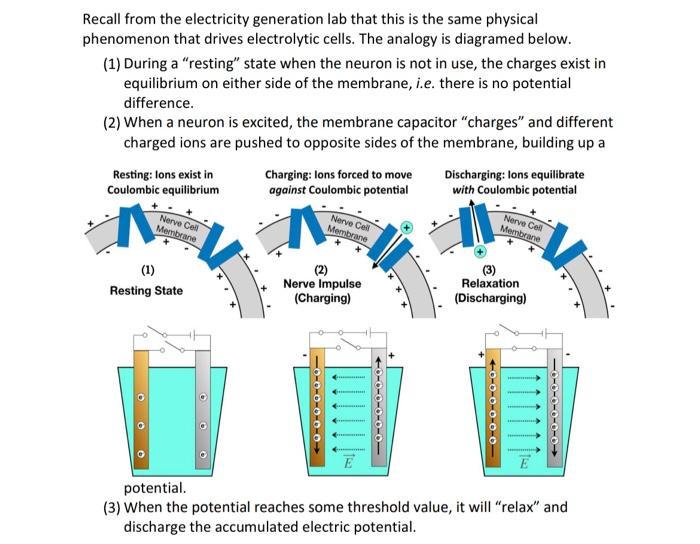 Solved help i will rate :)Thought Experiment: Think about | Chegg.com