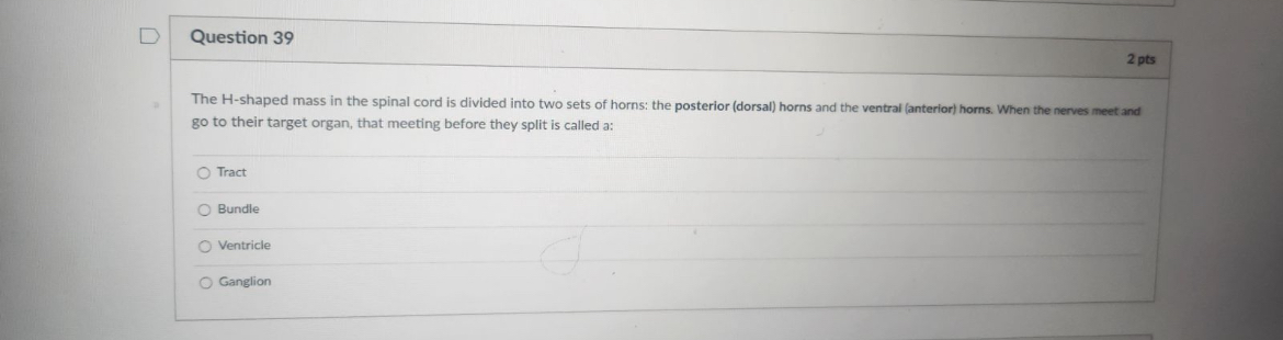 Solved Question 392 ﻿ptsThe H -shaped mass in the spinal | Chegg.com