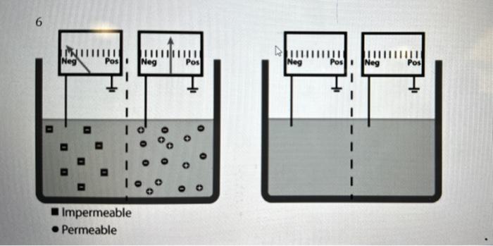 Solved - Permeable Impermeable - Permeable \#5 (squares | Chegg.com
