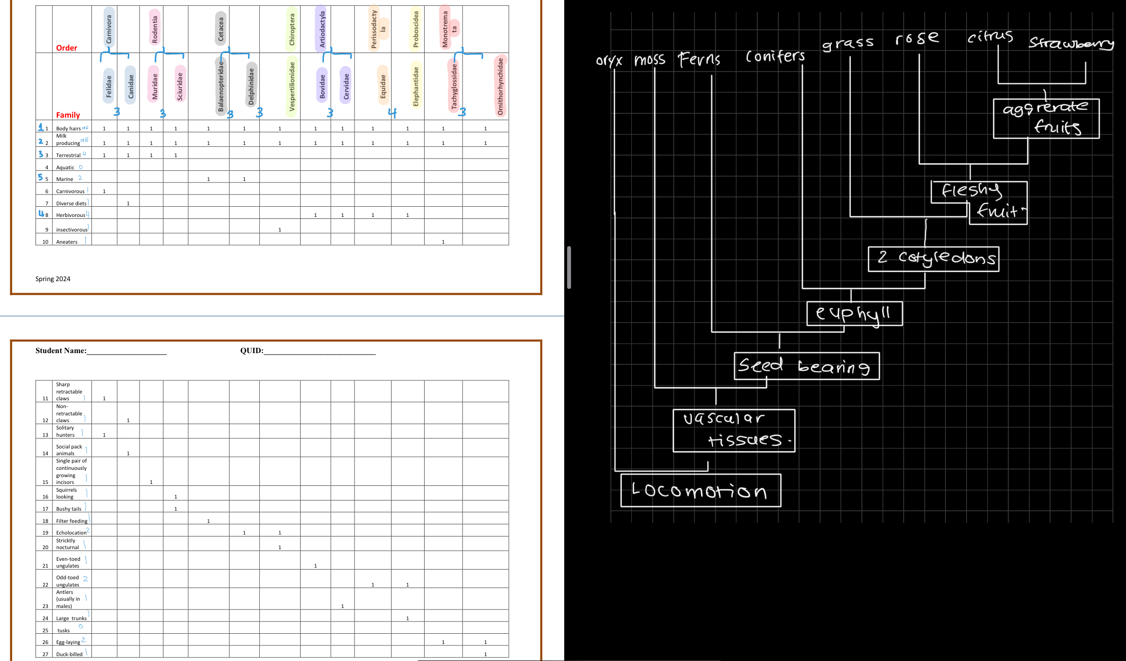 Solved construct a phylogeny tree like the picture attached | Chegg.com