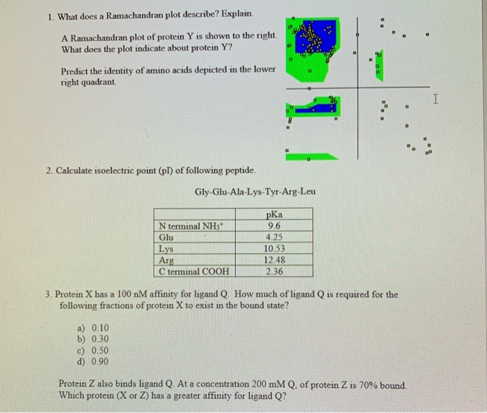 Solved 1. What does a Ramachandran plot describe? Explain. A | Chegg.com