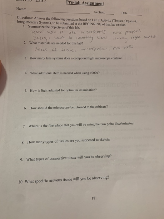 Solved Pre-lab Assignment Name: Section: Date: Directions: | Chegg.com