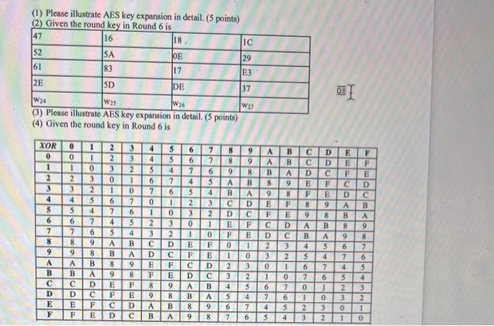 (1) Please illustrate AES key expansion in detail. (5 | Chegg.com