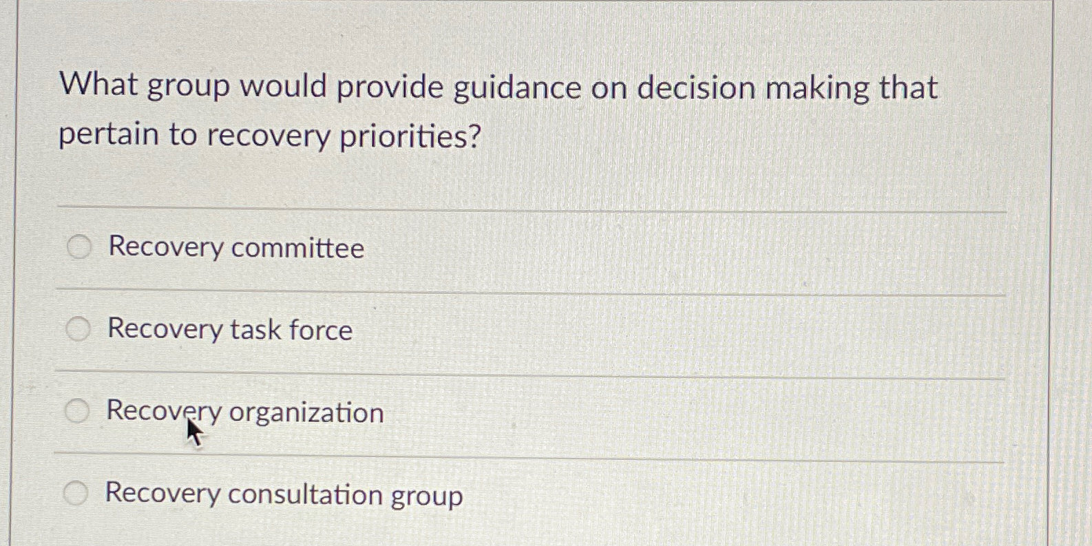 Solved What group would provide guidance on decision making | Chegg.com