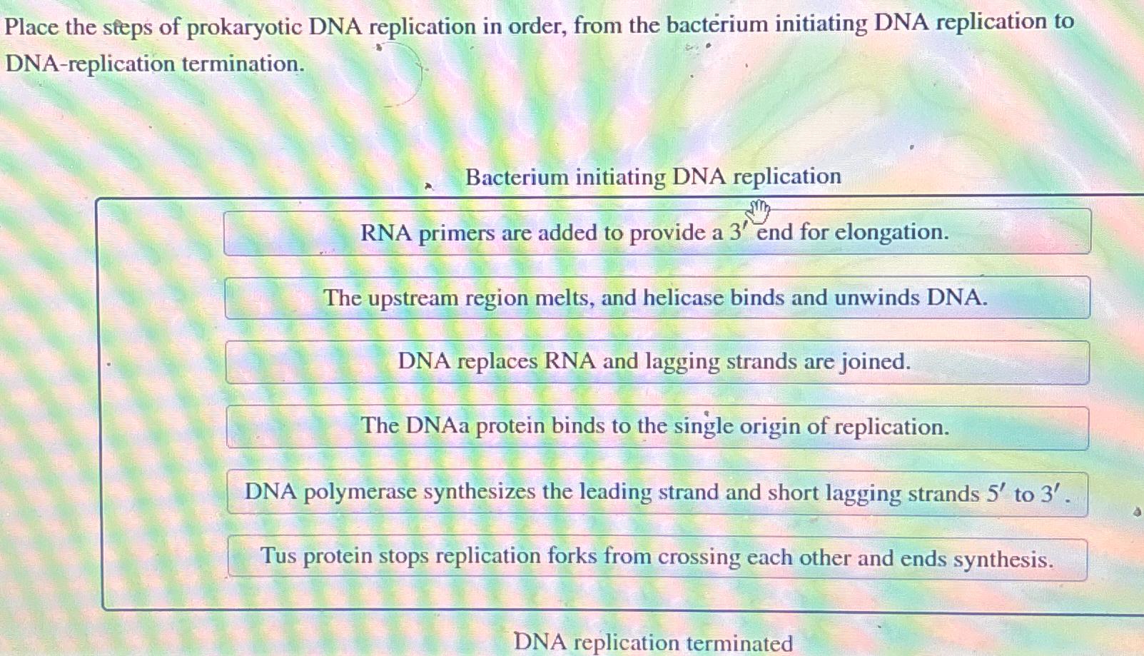 Solved Place the steps of prokaryotic DNA replication in | Chegg.com