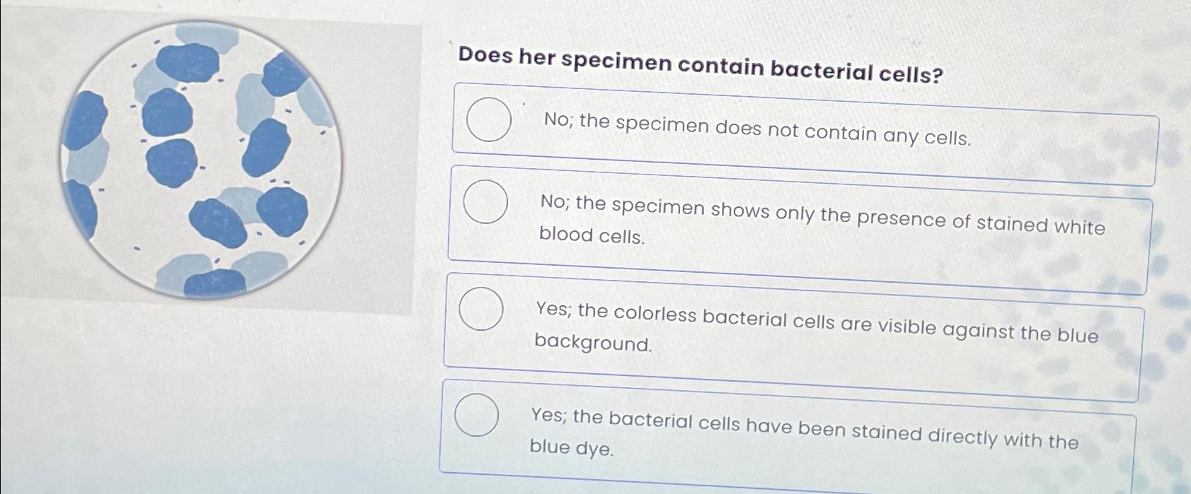Solved Does her specimen contain bacterial cells?\\nNo; the | Chegg.com