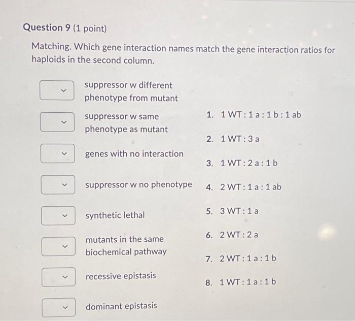 Solved Question 8 (1 point) Matching. Which gene interaction | Chegg.com