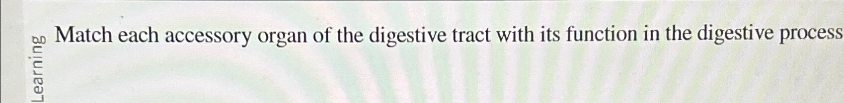 Solved Match each accessory organ of the digestive tract | Chegg.com