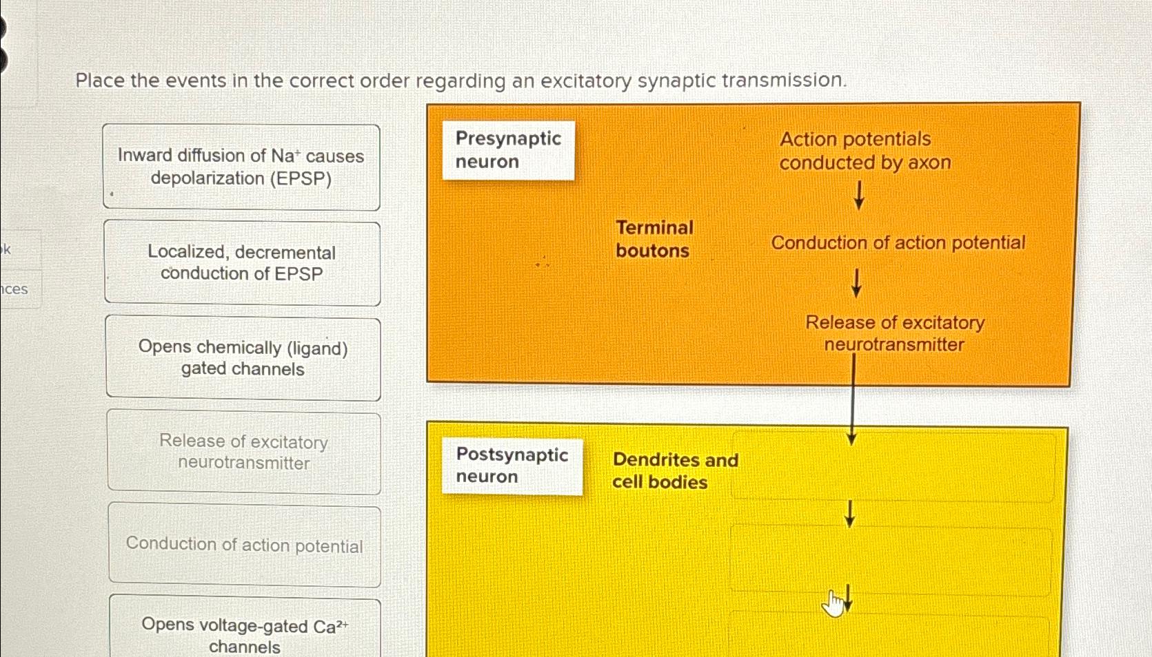 Solved Place the events in the correct order regarding an | Chegg.com