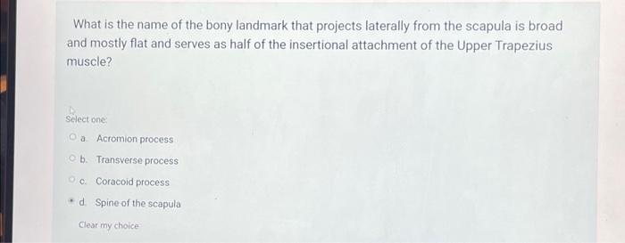 Solved What is the name of the bony landmark that projects | Chegg.com