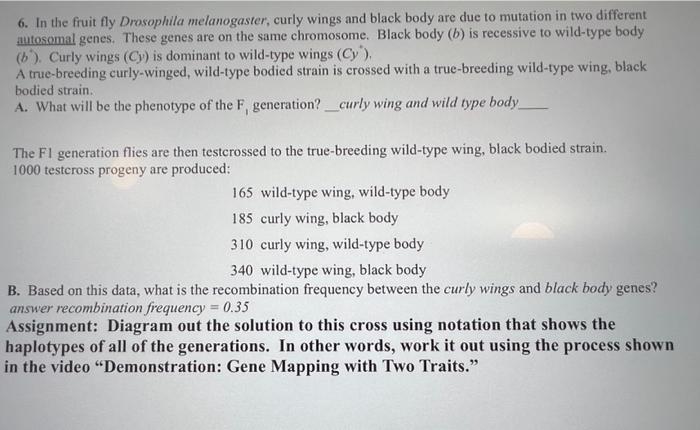 Solved 6. In the fruit fly Drosophila melanogaster, curly | Chegg.com