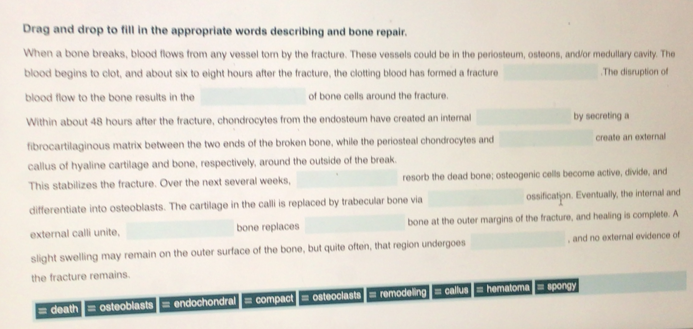 Solved Drag and drop to fill in the appropriate words | Chegg.com