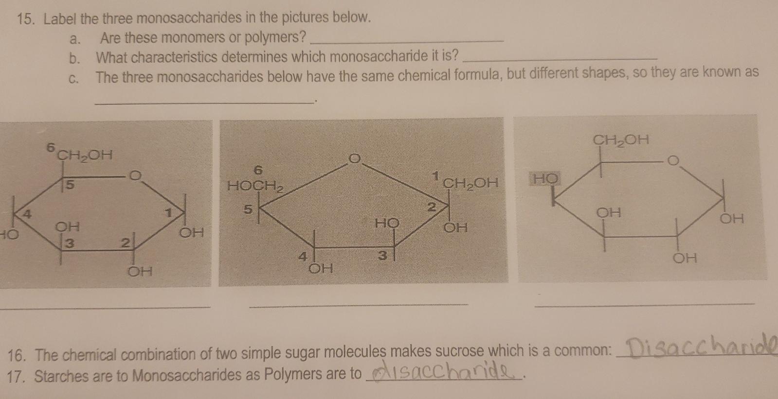Solved 15. Label the three monosaccharides in the pictures | Chegg.com