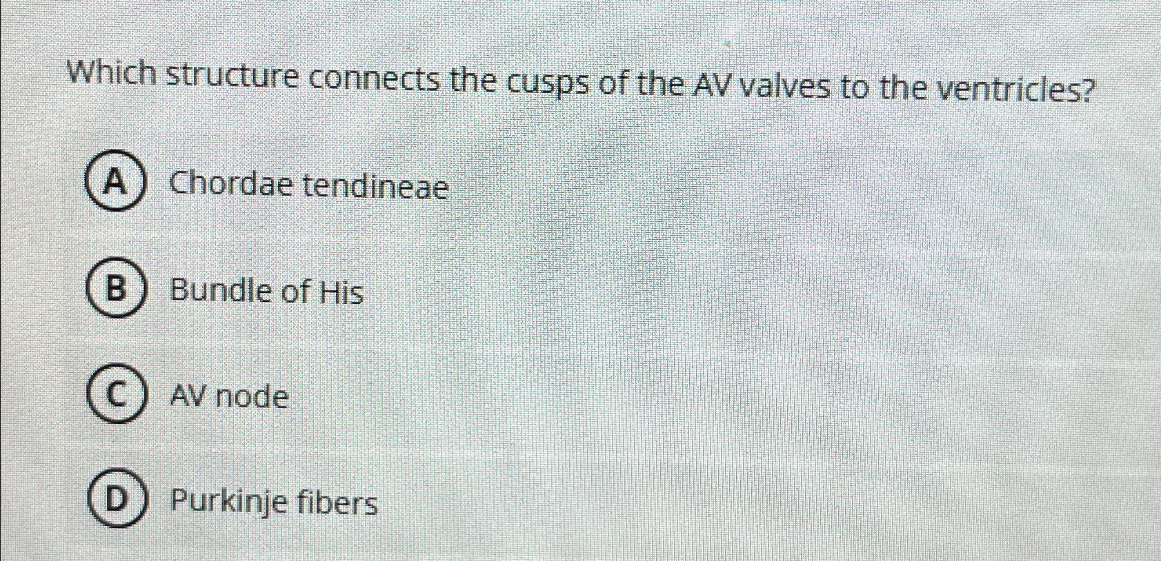 Solved Which structure connects the cusps of the AV valves | Chegg.com