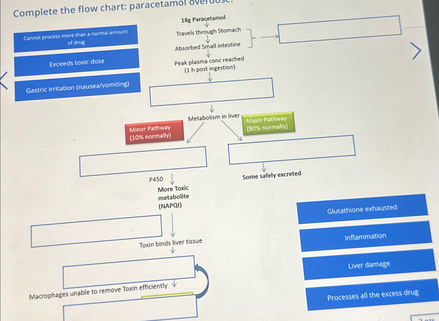 Complete the flow chart: paracetamol overDose-cannot | Chegg.com