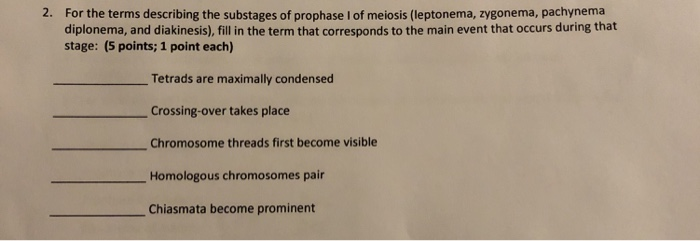 Solved 2. For the terms describing the substages of prophase | Chegg.com