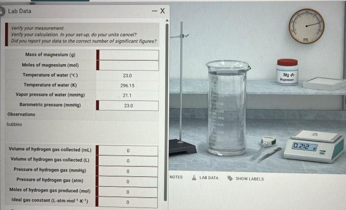 Solved Verify your measurement. Venify your calculation. In | Chegg.com