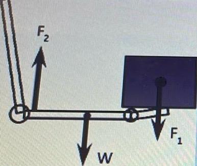 Solved If the maximum isometric force of the biceps muscle | Chegg.com