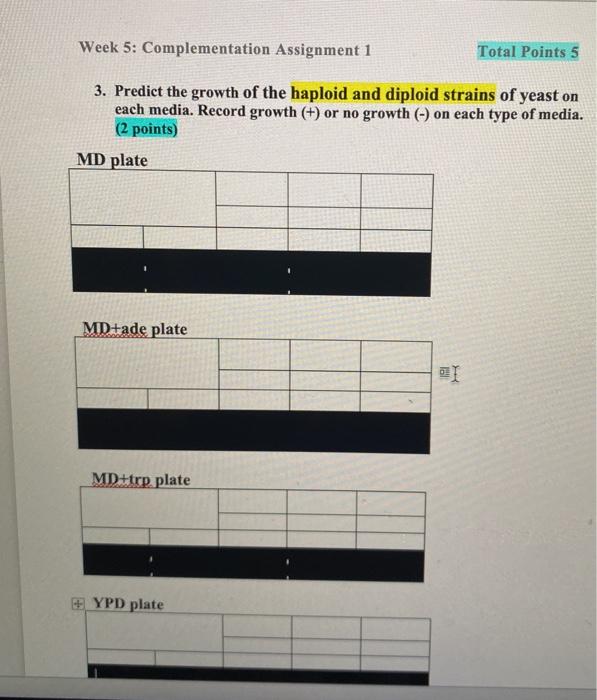 Week 5: Complementation Assignment 1 Total Points 5 | Chegg.com