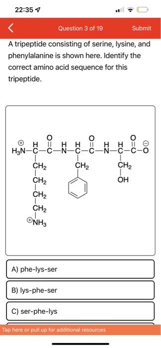 [Solved]: What is the N-terminal amino acid in the tripepti