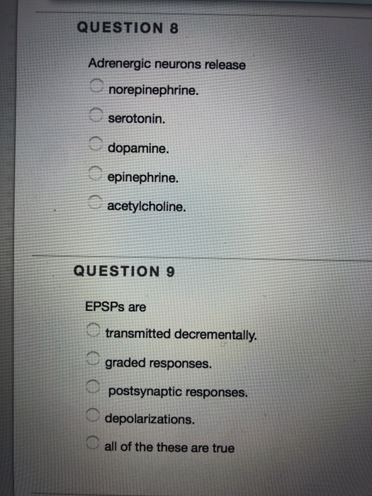 Solved QUESTION 8 Adrenergic neurons release norepinephrine. | Chegg.com
