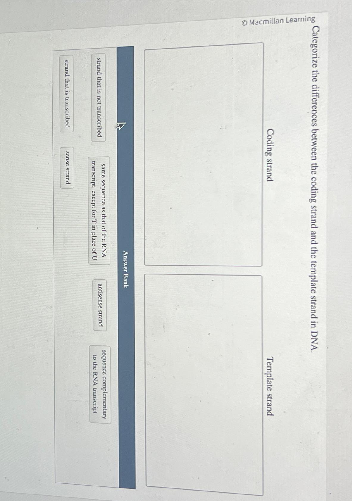 Solved Categorize the differences between the coding strand | Chegg.com
