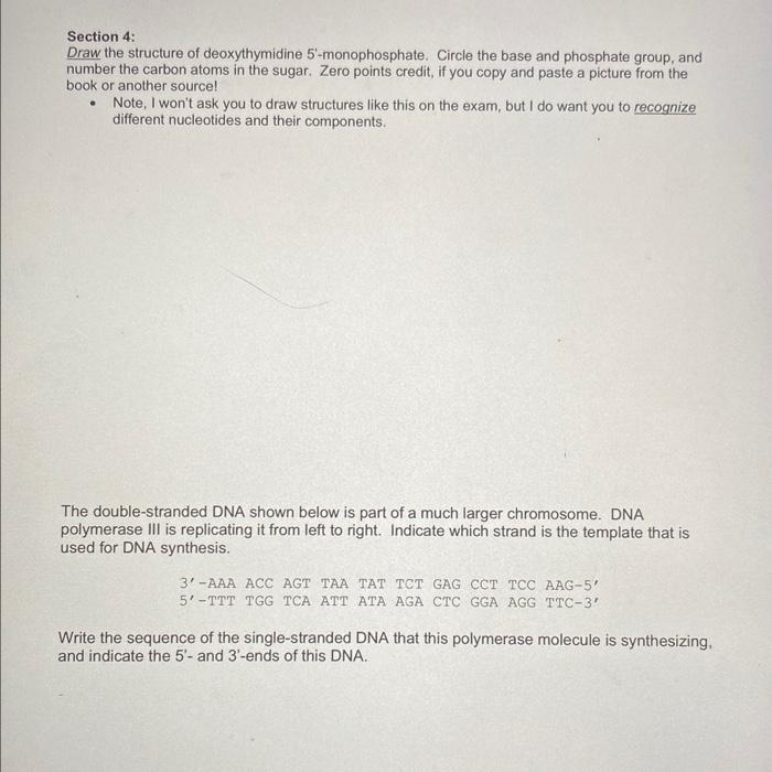 Solved Section 4: Draw the structure of deoxythymidine | Chegg.com