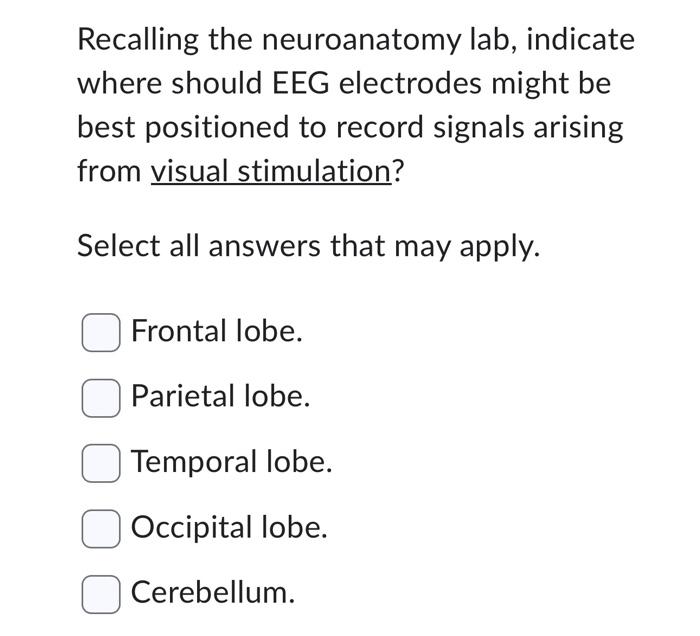 Solved Recalling the neuroanatomy lab, indicate where should | Chegg.com