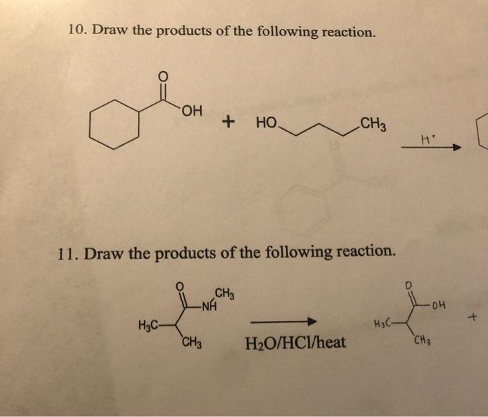Solved 10. Draw the products of the following reaction. OH + | Chegg.com