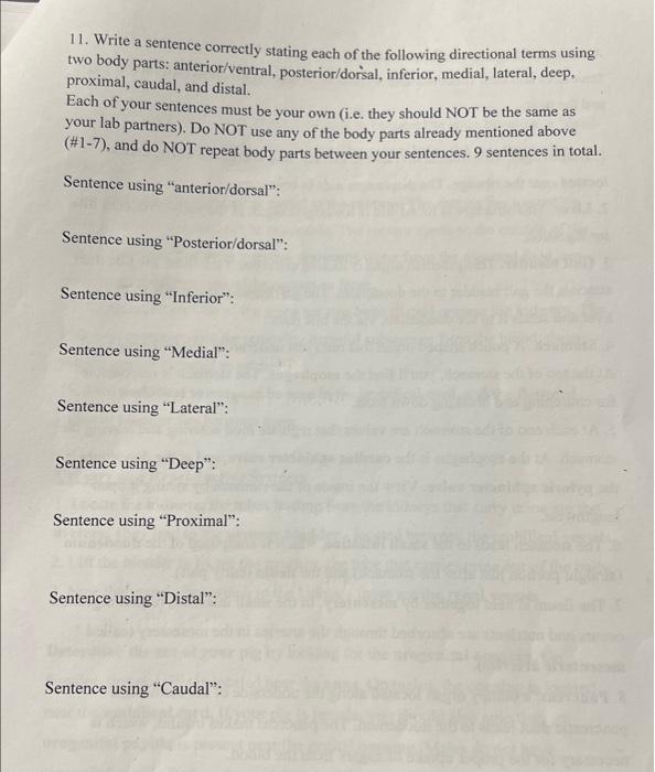 Solved 11. Write a sentence correctly stating each of the | Chegg.com