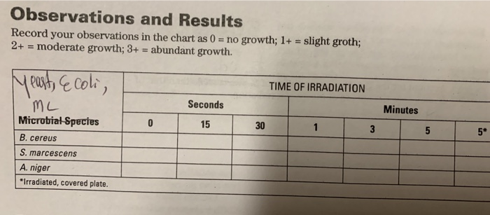 Observations and Results Record your observations in | Chegg.com
