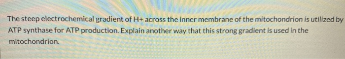 Solved The steep electrochemical gradient of H+ across the | Chegg.com