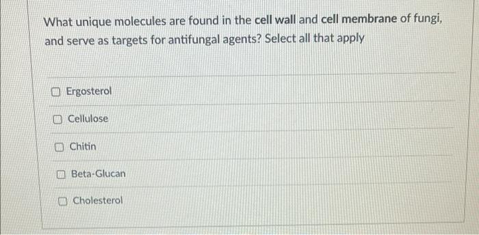Solved What unique molecules are found in the cell wall and | Chegg.com
