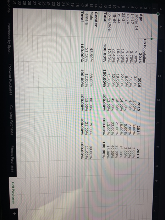 succeeding in business with microsoft excel chapter 3 | Chegg.com