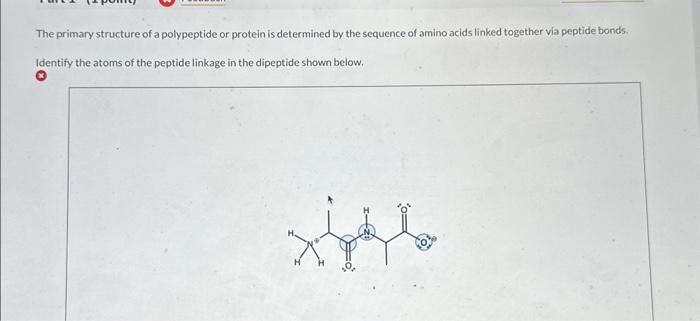 Solved \r\nBelow is the partial structure of a polyamide | Chegg.com