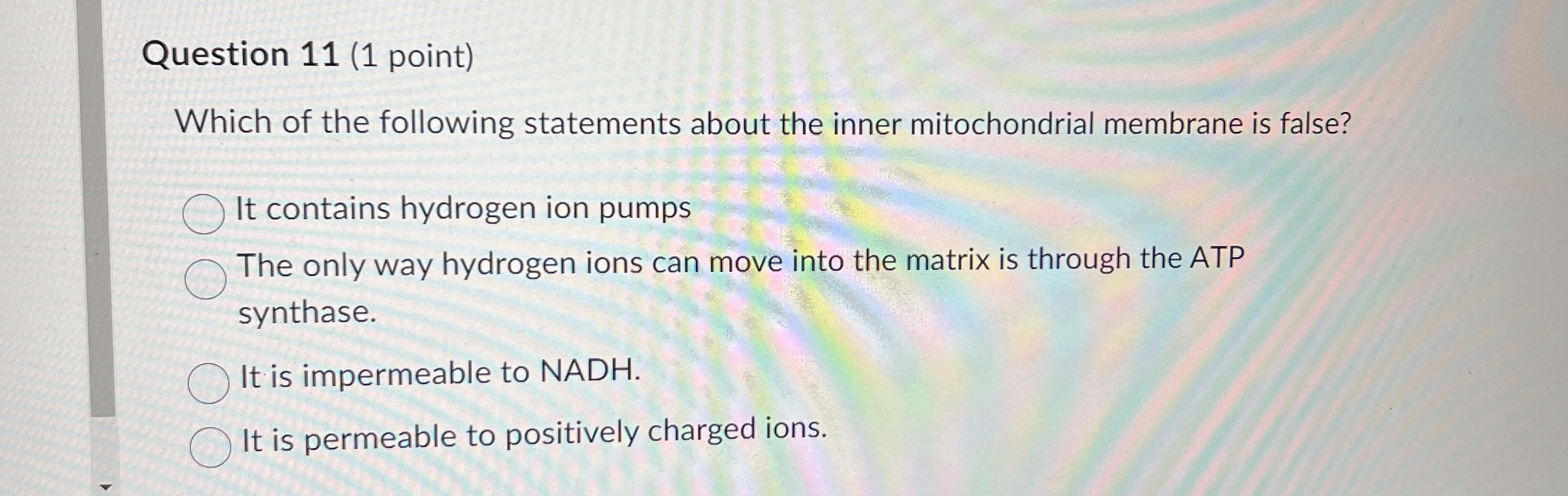 Solved Question 11 (1 ﻿point)Which of the following | Chegg.com