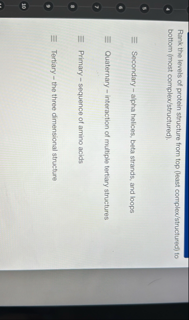 Solved Rank the levels of protein structure from top (least | Chegg.com