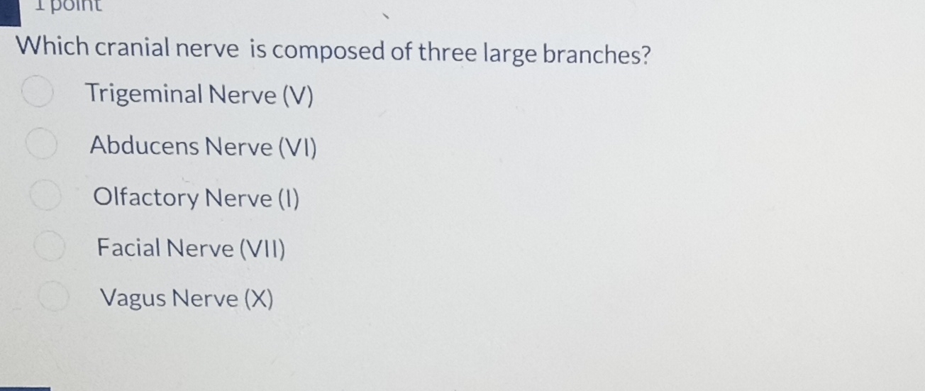 Solved Which cranial nerve is composed of three large | Chegg.com
