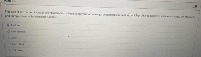 Solved la 8 Where does spatial summation occur in neurons? | Chegg.com