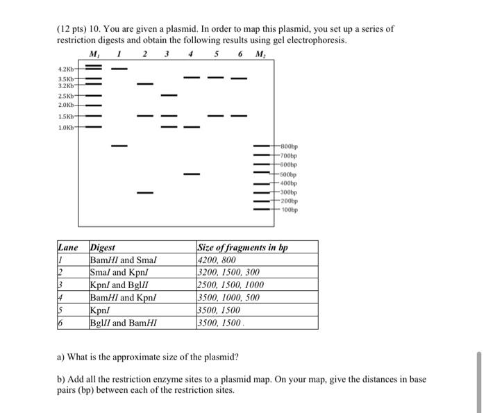 Solved (12 pts) 10. You are given a plasmid. In order to map | Chegg.com