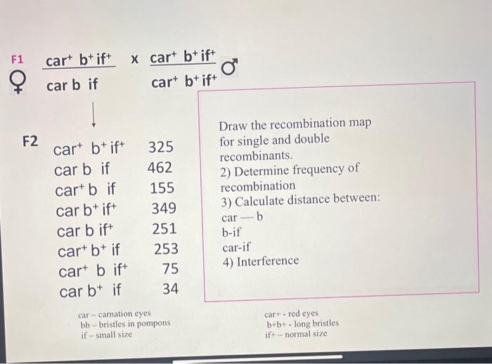 Solved Draw The Recombination Map For Single And Double