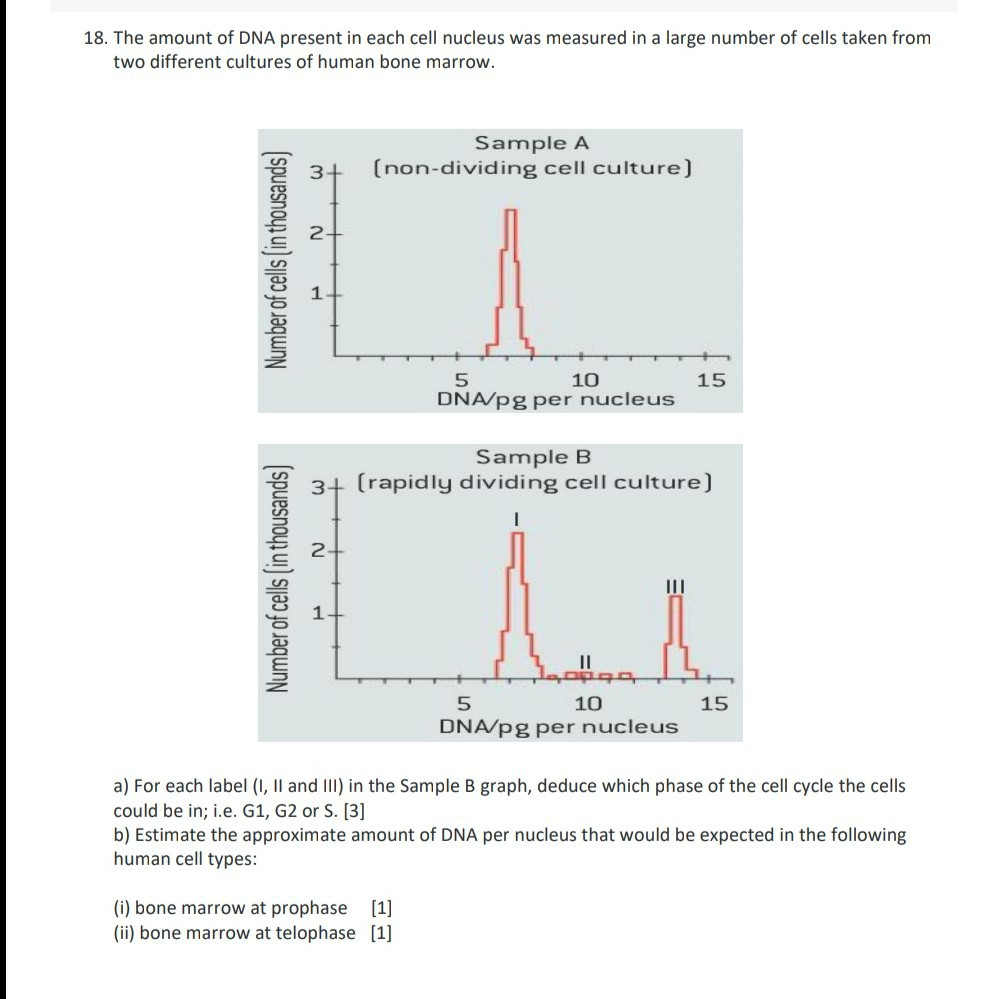 Solved 18 The Amount Of DNA Present In Each Cell Nucleus Chegg