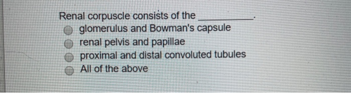 Solved Renal corpuscle consists of the O glomerulus and | Chegg.com