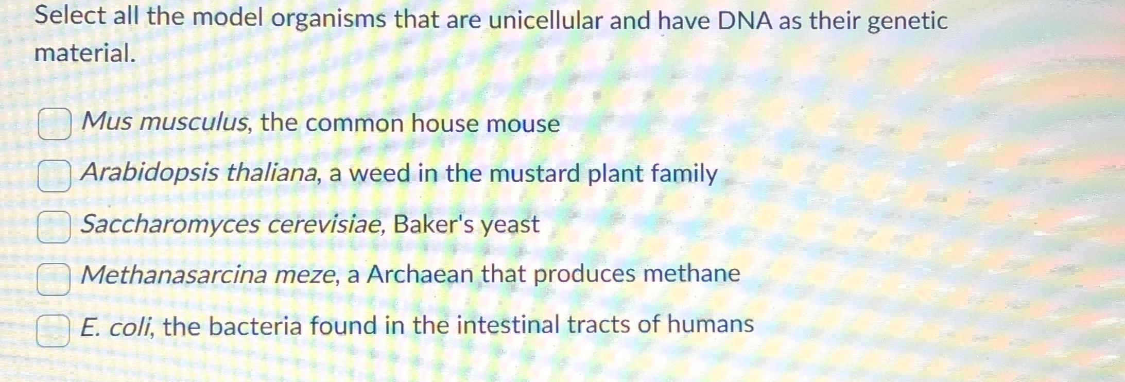 Solved Select all the model organisms that are unicellular | Chegg.com
