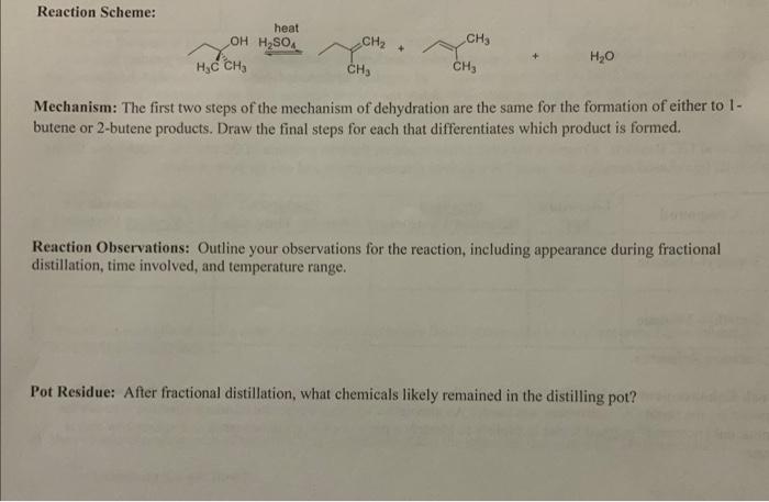 Solved Reaction Scheme: Mechanism: The first two steps of | Chegg.com