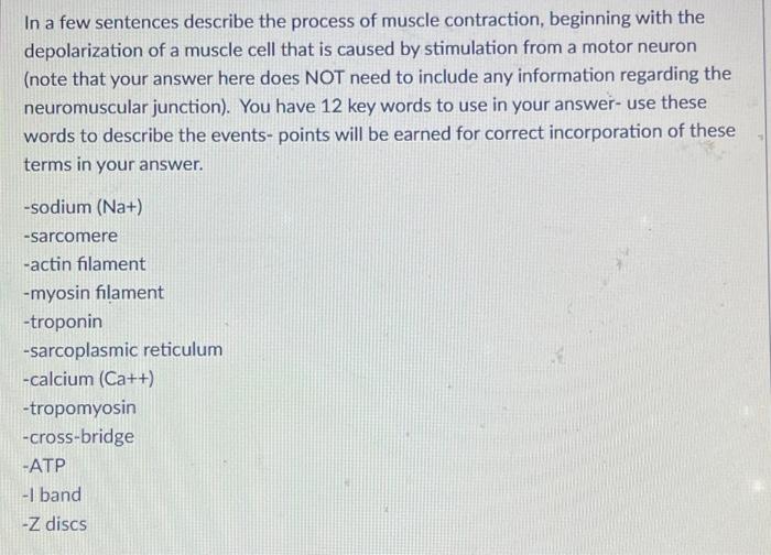 Solved In a few sentences describe the process of muscle | Chegg.com