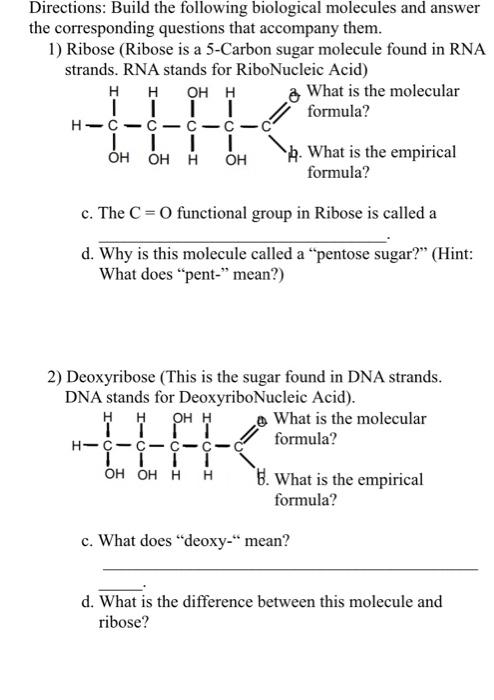 Solved Directions: Build the following biological molecules | Chegg.com
