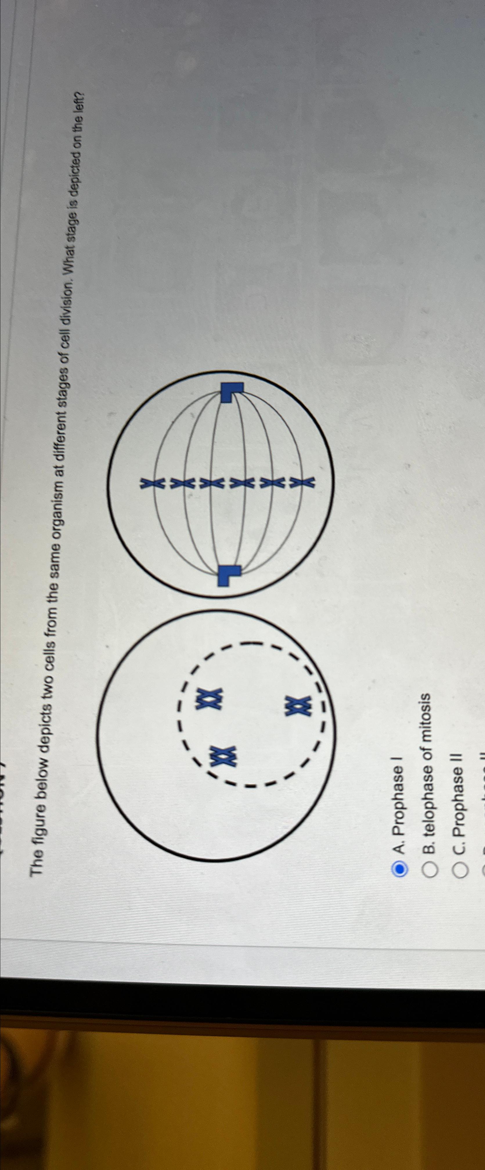 Solved The figure below depicts two cells from the same | Chegg.com